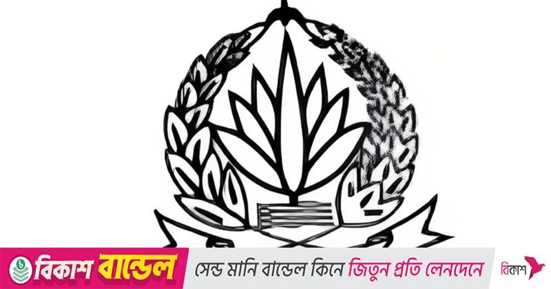 Bd Shapla Logo Bangladesh International School | Brands Of The