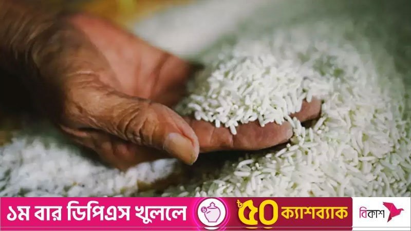 ১৮ মাসের সর্বনিম্নে ভারতীয় চালের দাম | বণিক বার্তা