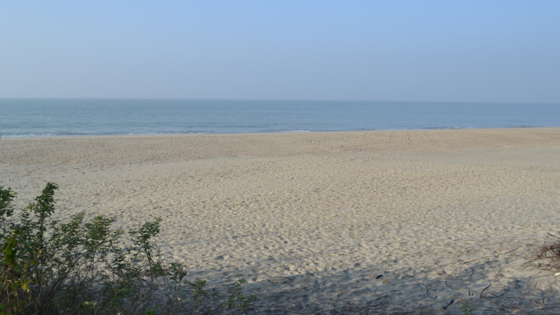 Sonadia Island contains tons of precious minerals including garnet ...